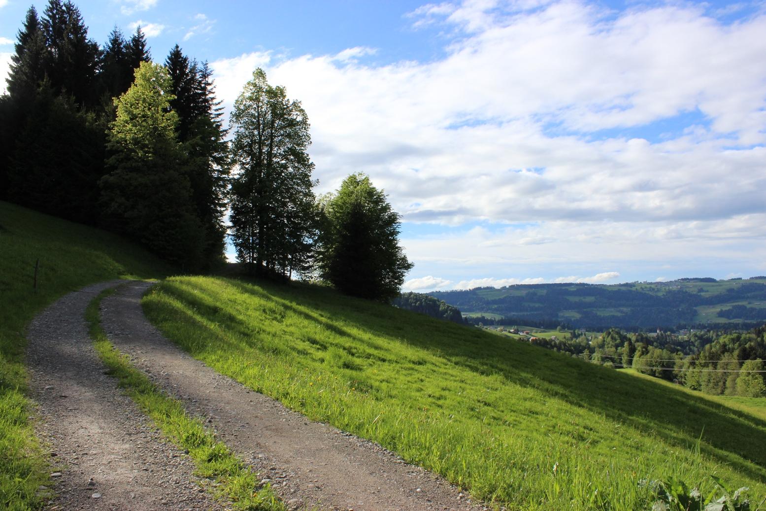 Hittisau | Rotenberg Rundwanderung - Urlaub in Vorarlberg