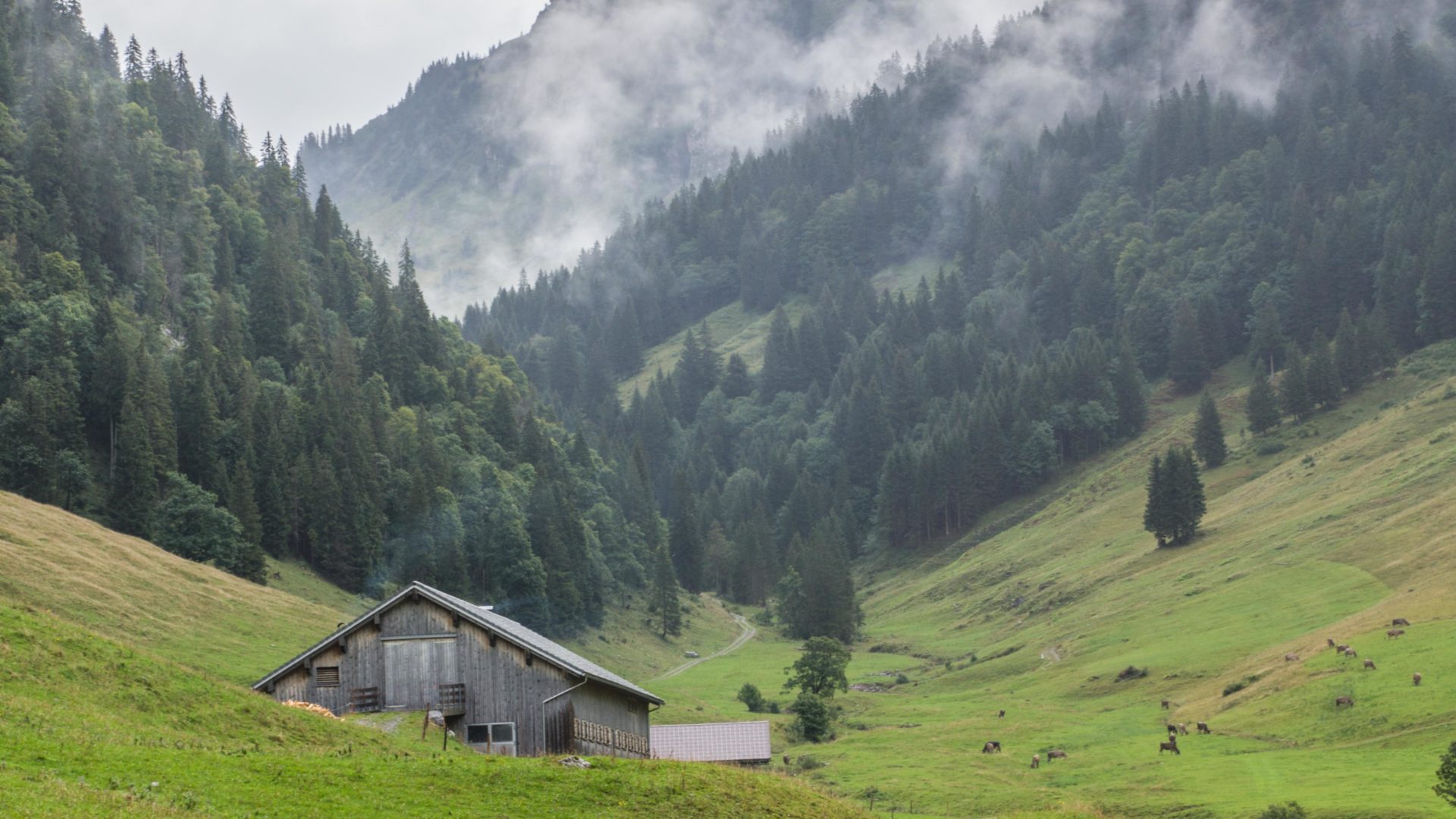Alpine pasture hiking / hikes for gourmets - 21 trails in Vorarlberg