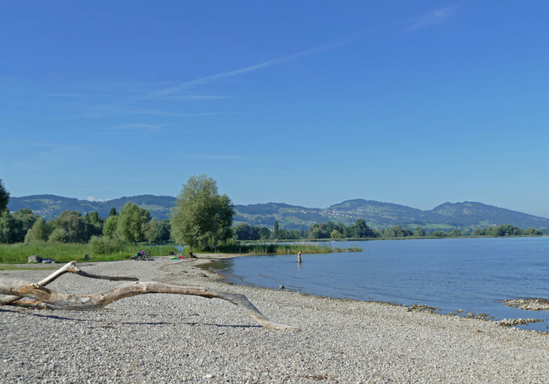 Baden im Bodensee - Urlaub am Wasser in Vorarlberg