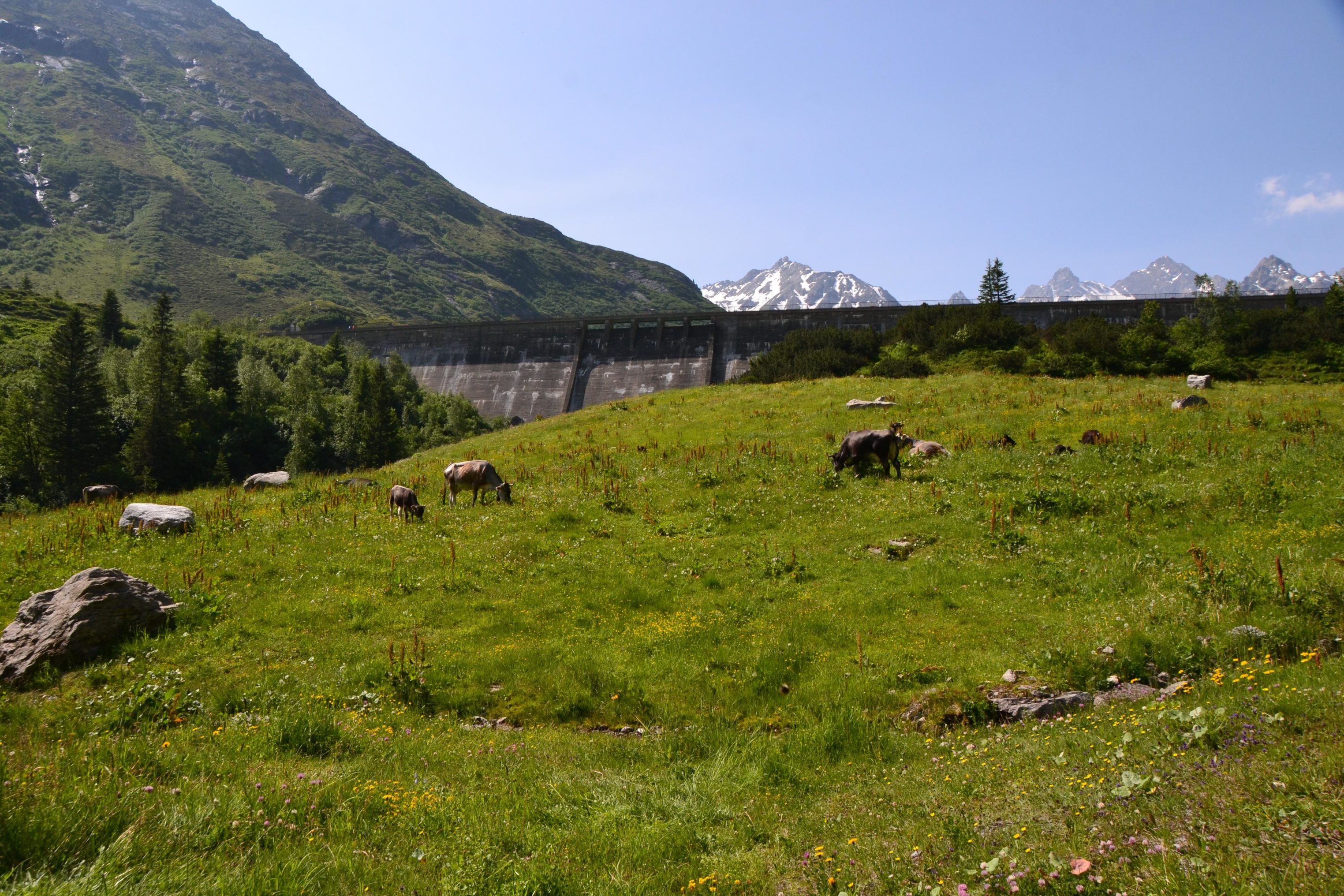 Vermuntstausee - Bielerhöhe - Urlaub in Vorarlberg