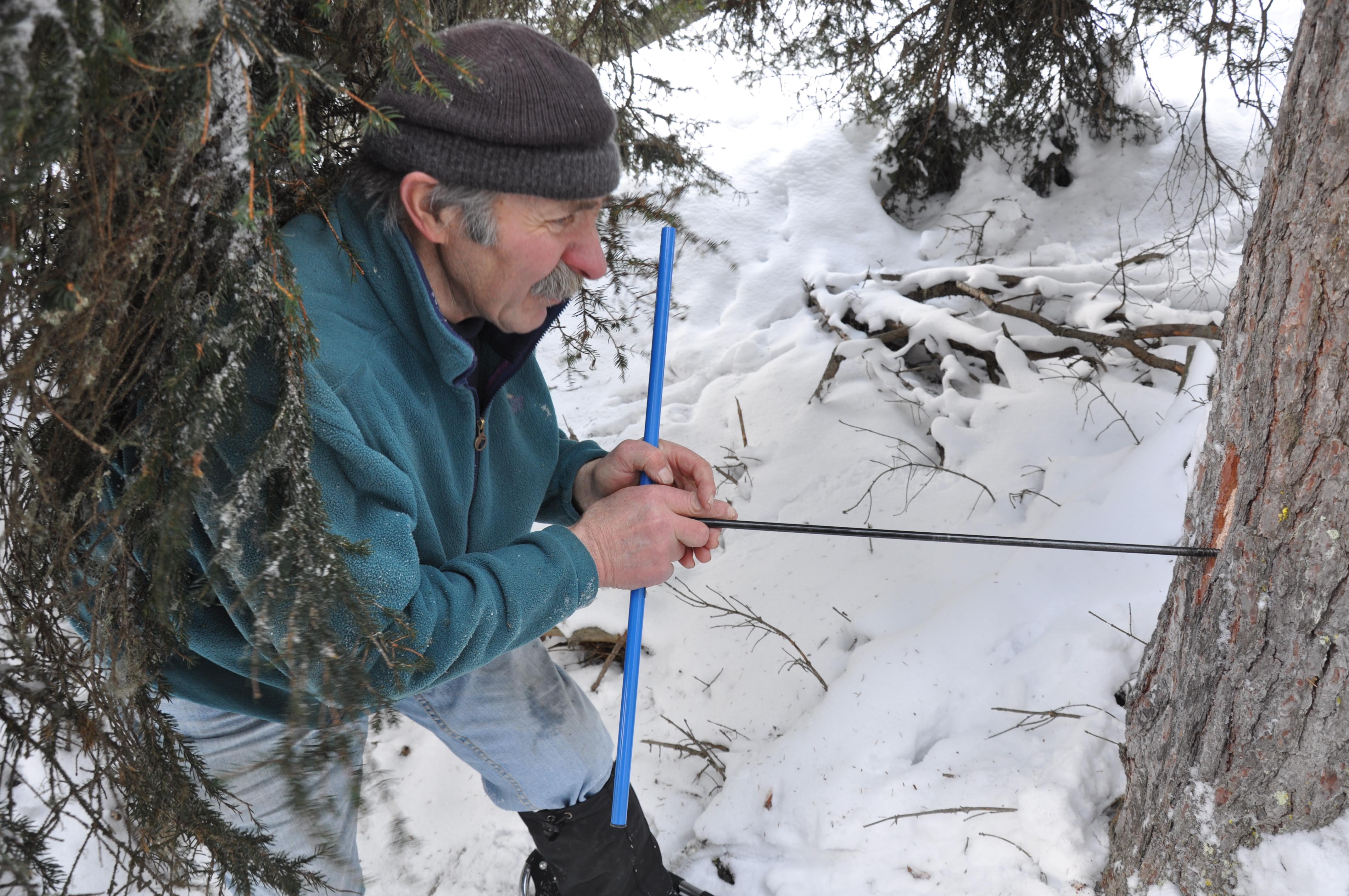 Kulturweg "Haselfichte" | Dalaas - Urlaub in Vorarlberg