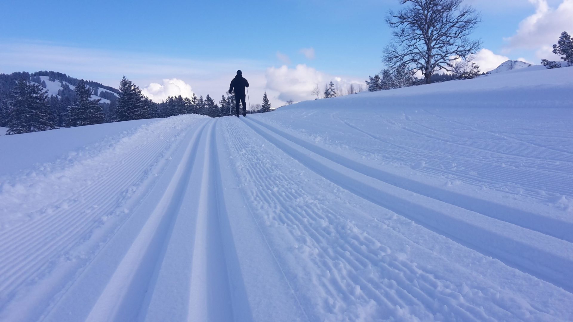 Höhenloipen in Vorarlberg - Langlaufen auf dem Silvretta Stausee Montafon