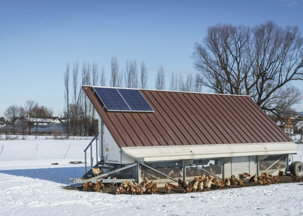 Agriculture in winter – visiting Lisilis organic farm in Meiningen