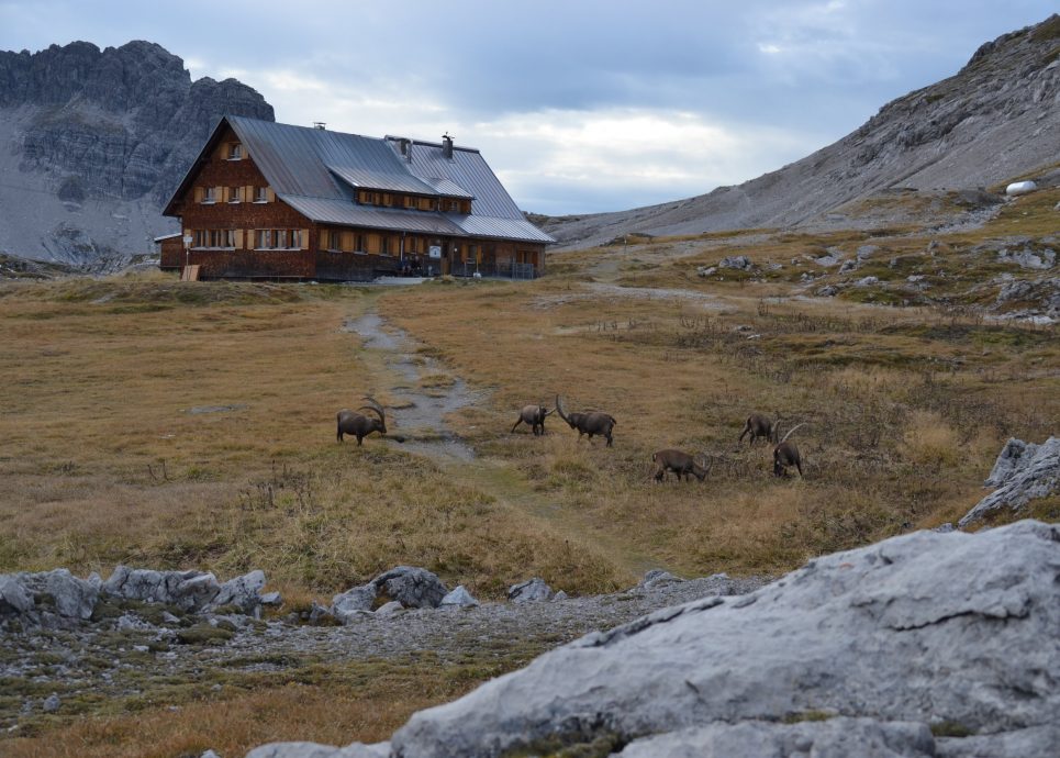 Lechquellenrunde - Urlaub in Vorarlberg