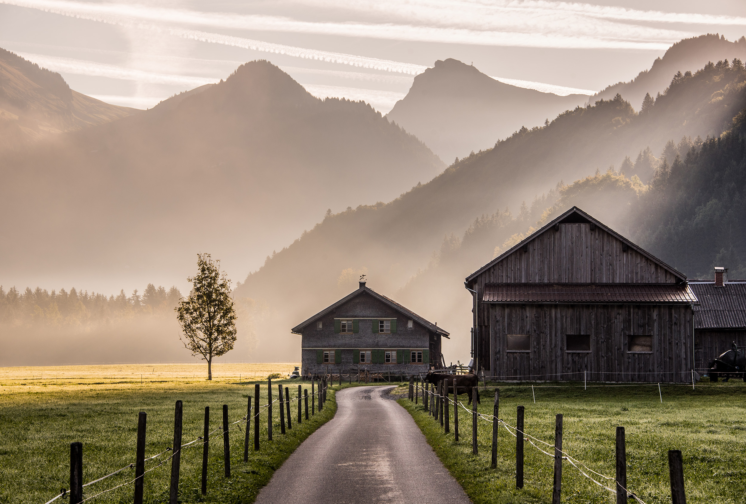 Bregenzerwald - Informationen über die Urlaubsregion in Vorarlberg