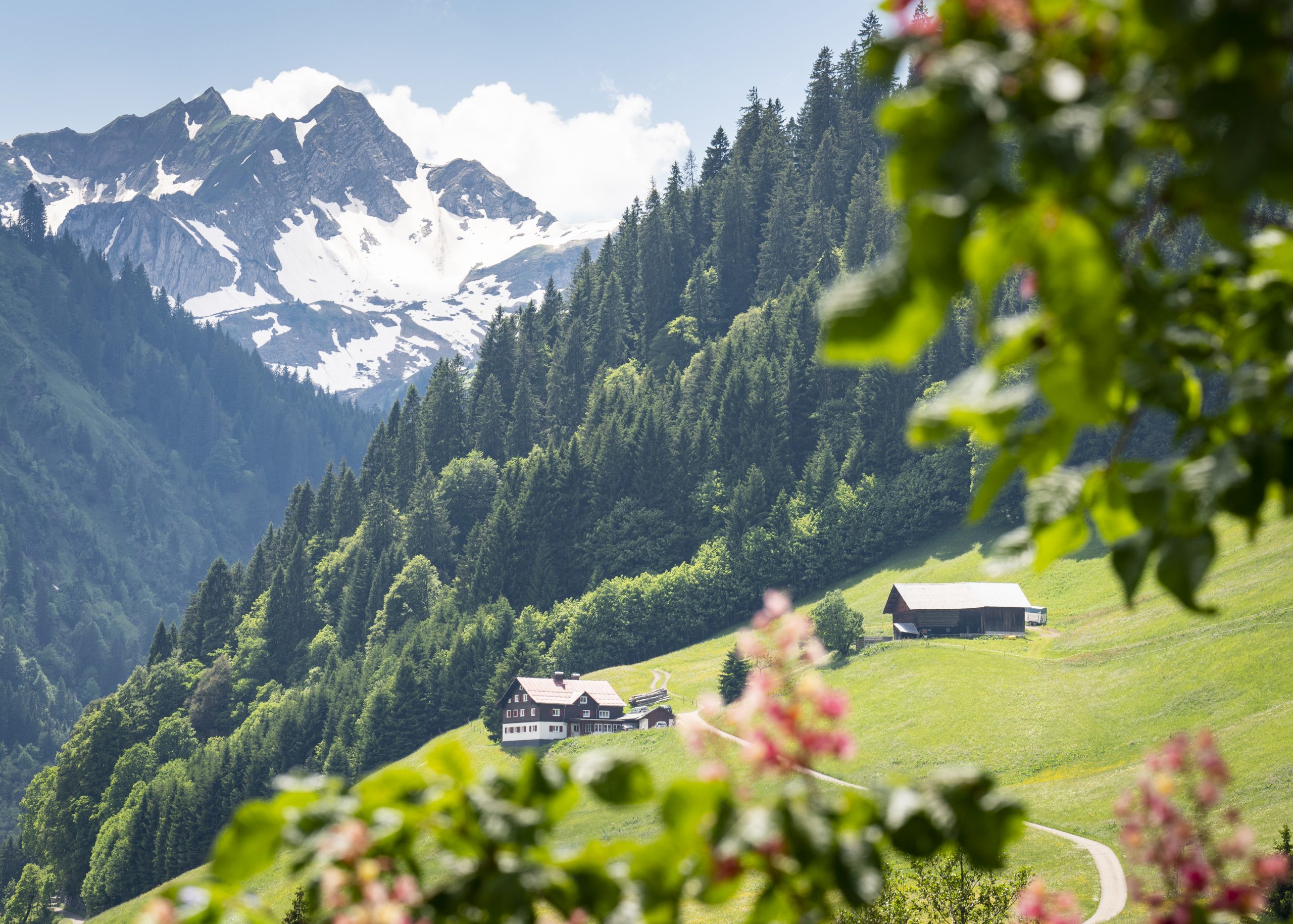 Frühling in Vorarlberg - Tipps für Erkundungen in Stadt und Land