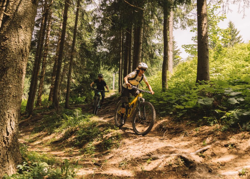 Alpine Art trifft Singletrail